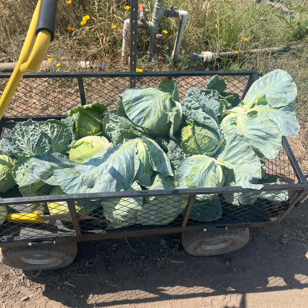 Earth Day At The SCUSD Farm – Mission City Federal Credit Union
